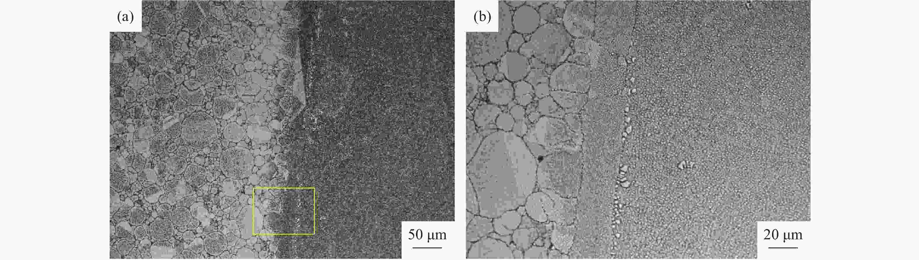 FGH91粉末高温合金与K418B铸造叶环热等静压扩散连接研究