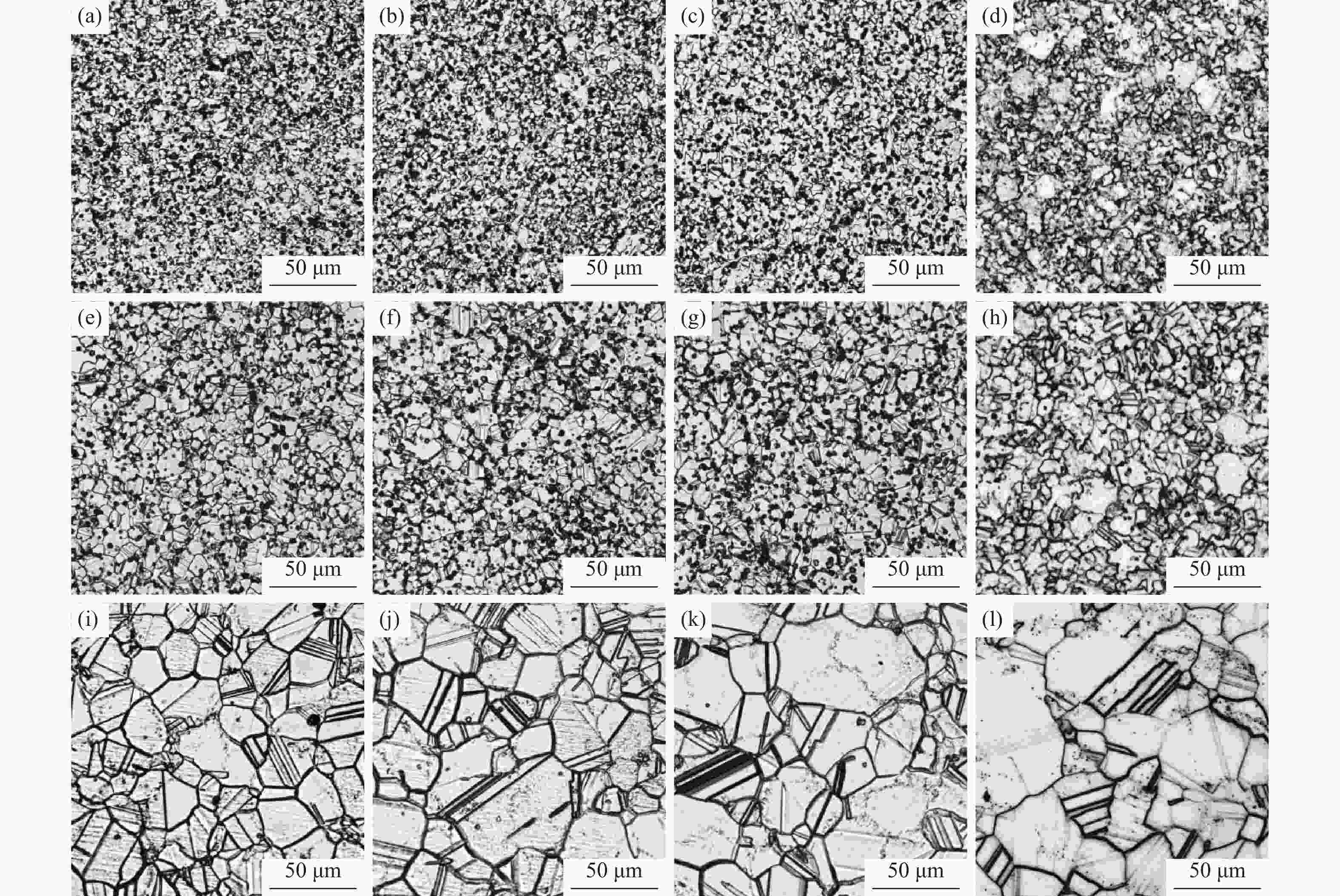 热处理过程中FGH96合金的微观组织演变