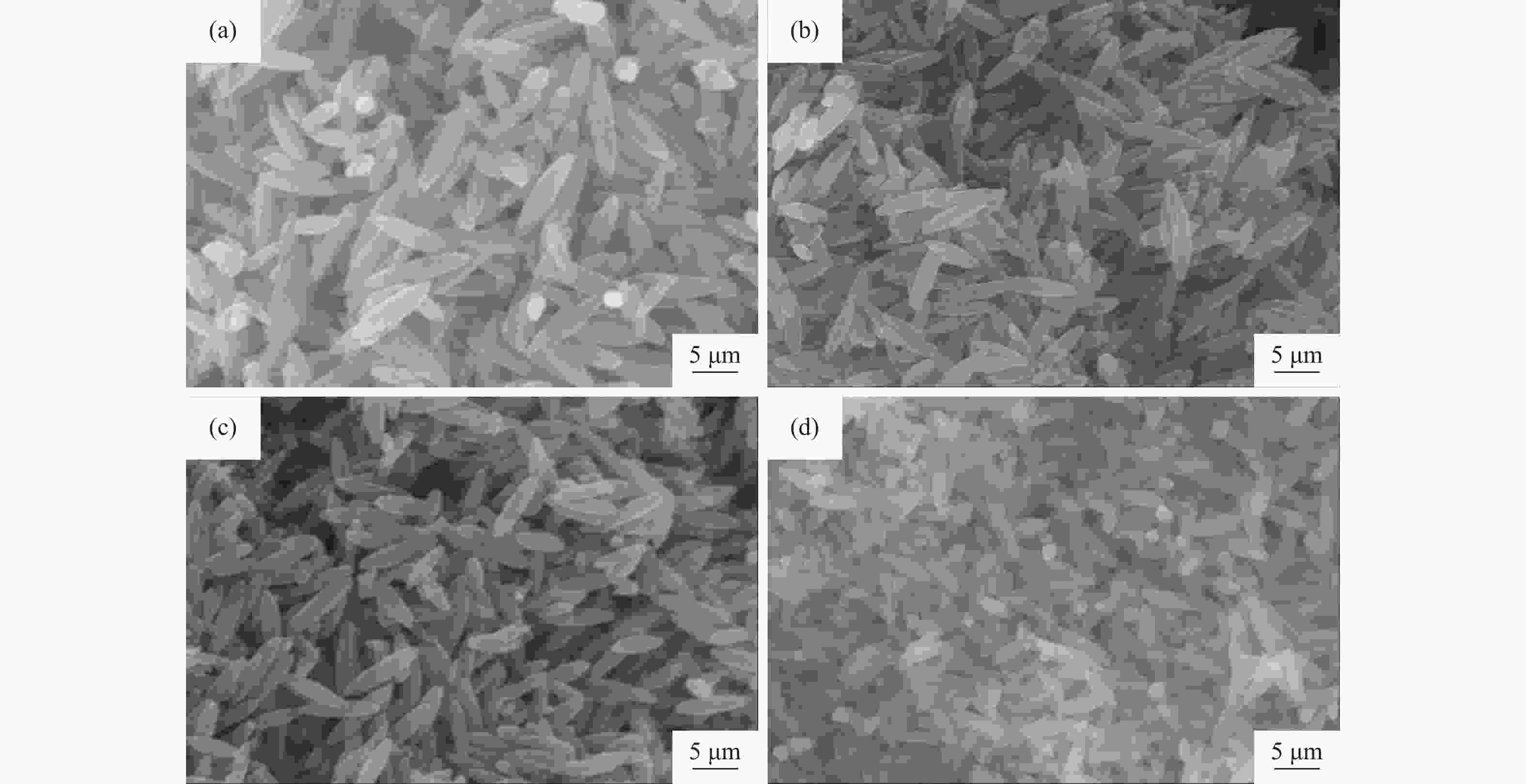 纳米氧化铁的制备及形貌分析