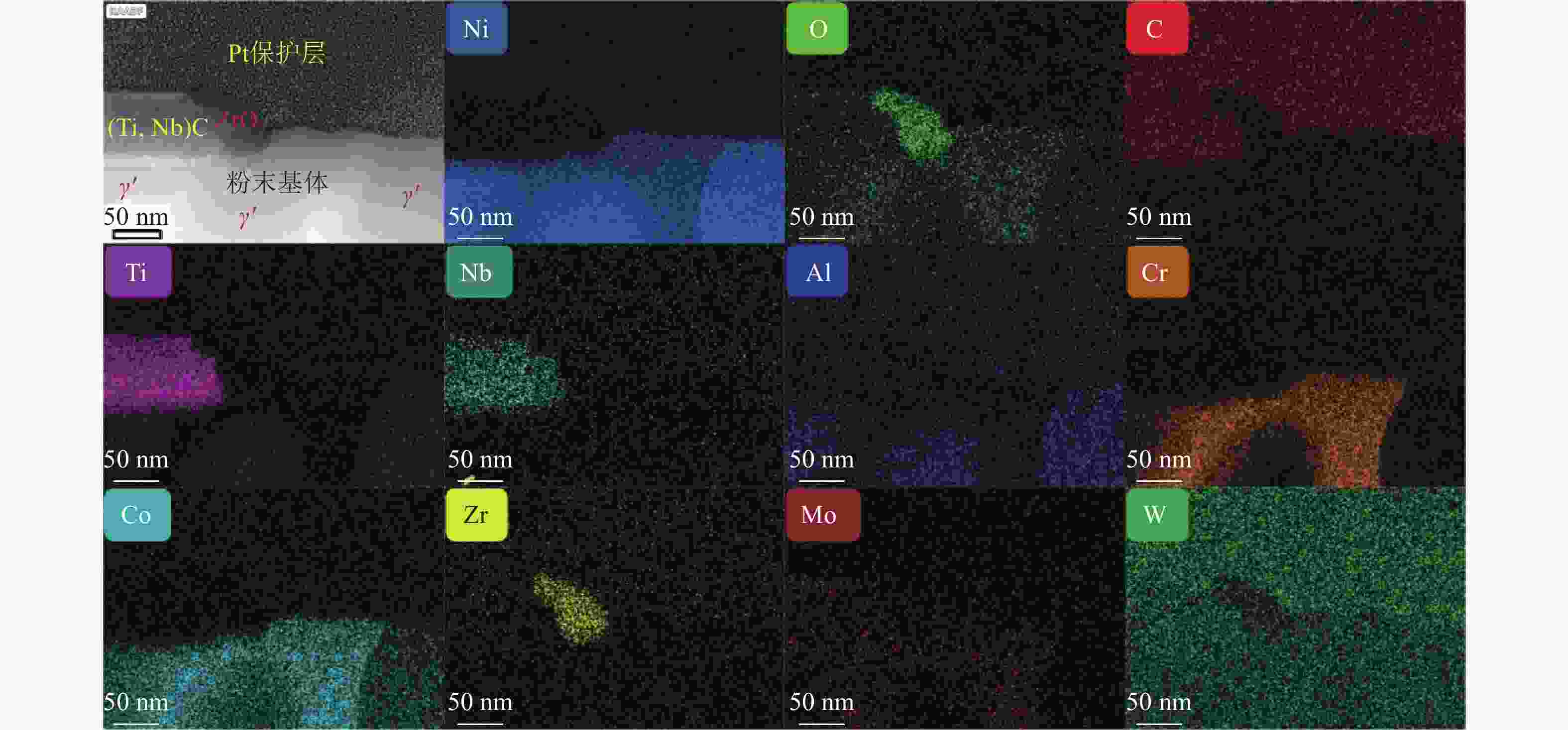 高温氧化对FGH96高温合金粉末表面状态的影响